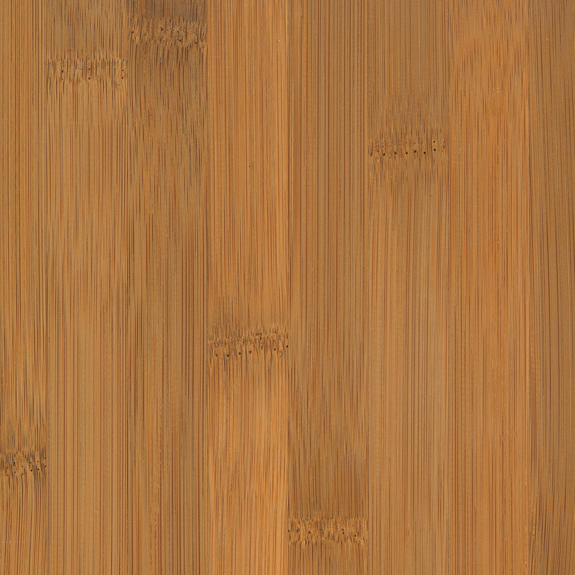 Solid Bamboo - Carolina Floor Covering